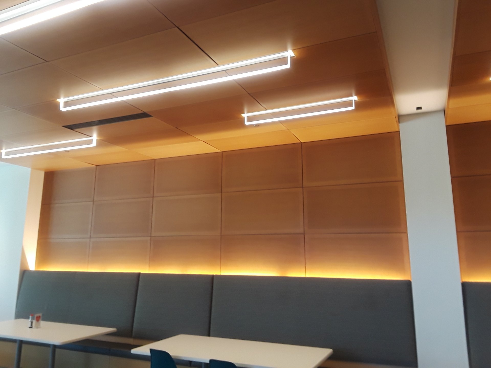Acoustic wood ceiling tiles and lightweight concrete panels