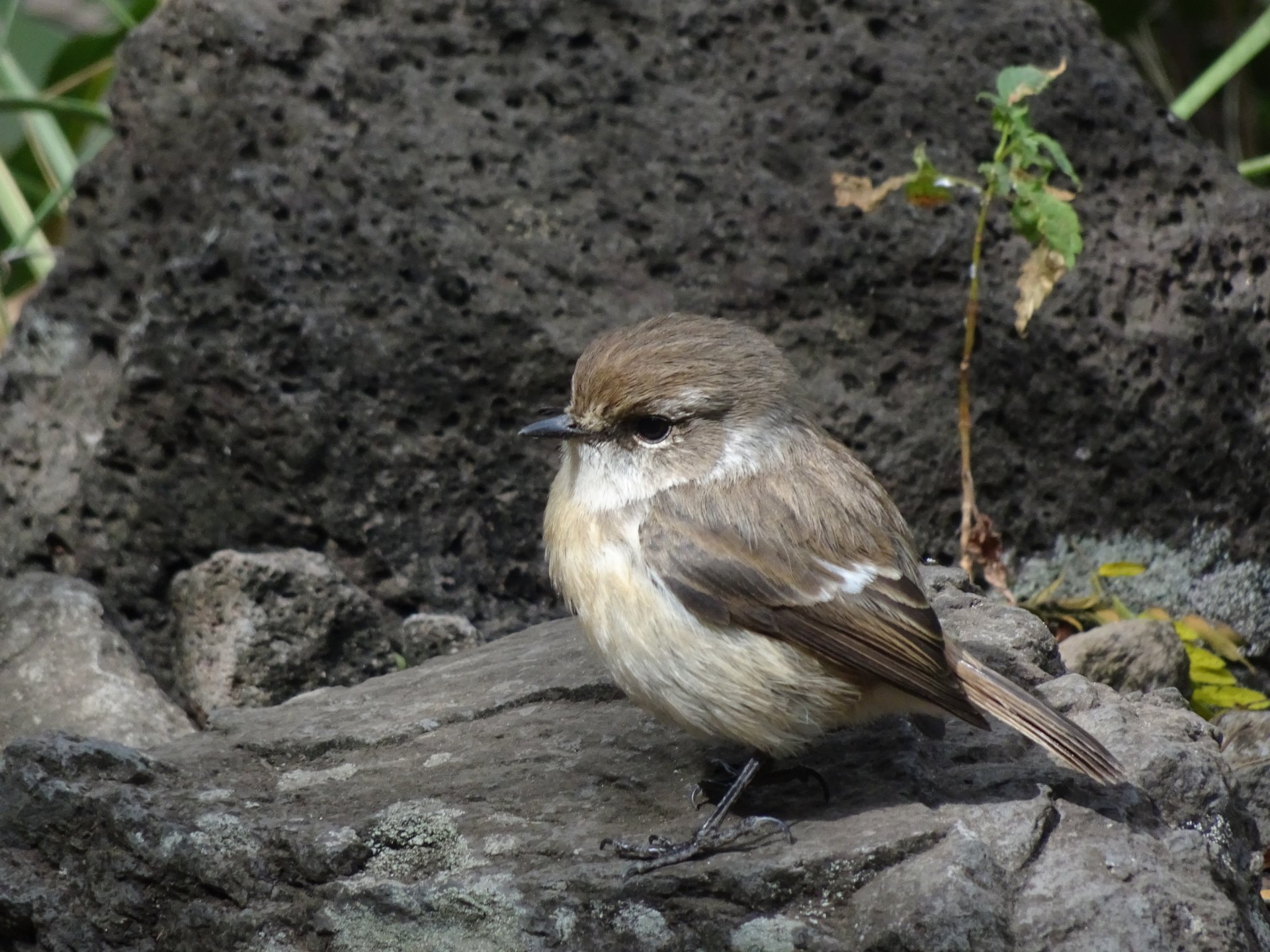 Île de la Réunion - Voyage