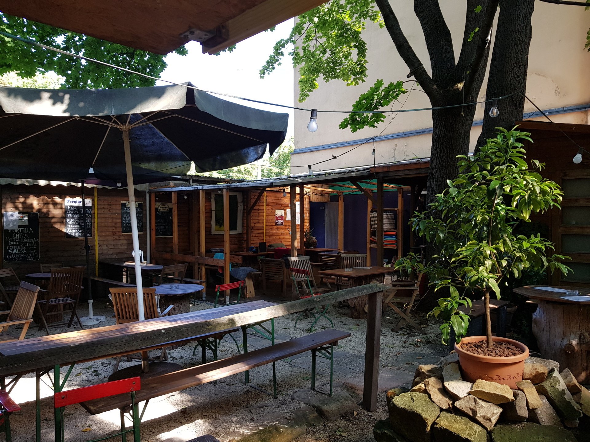 Singularis Porcus Winter- und Biergarten, Kneipe. Weihnachstbaumverkauf