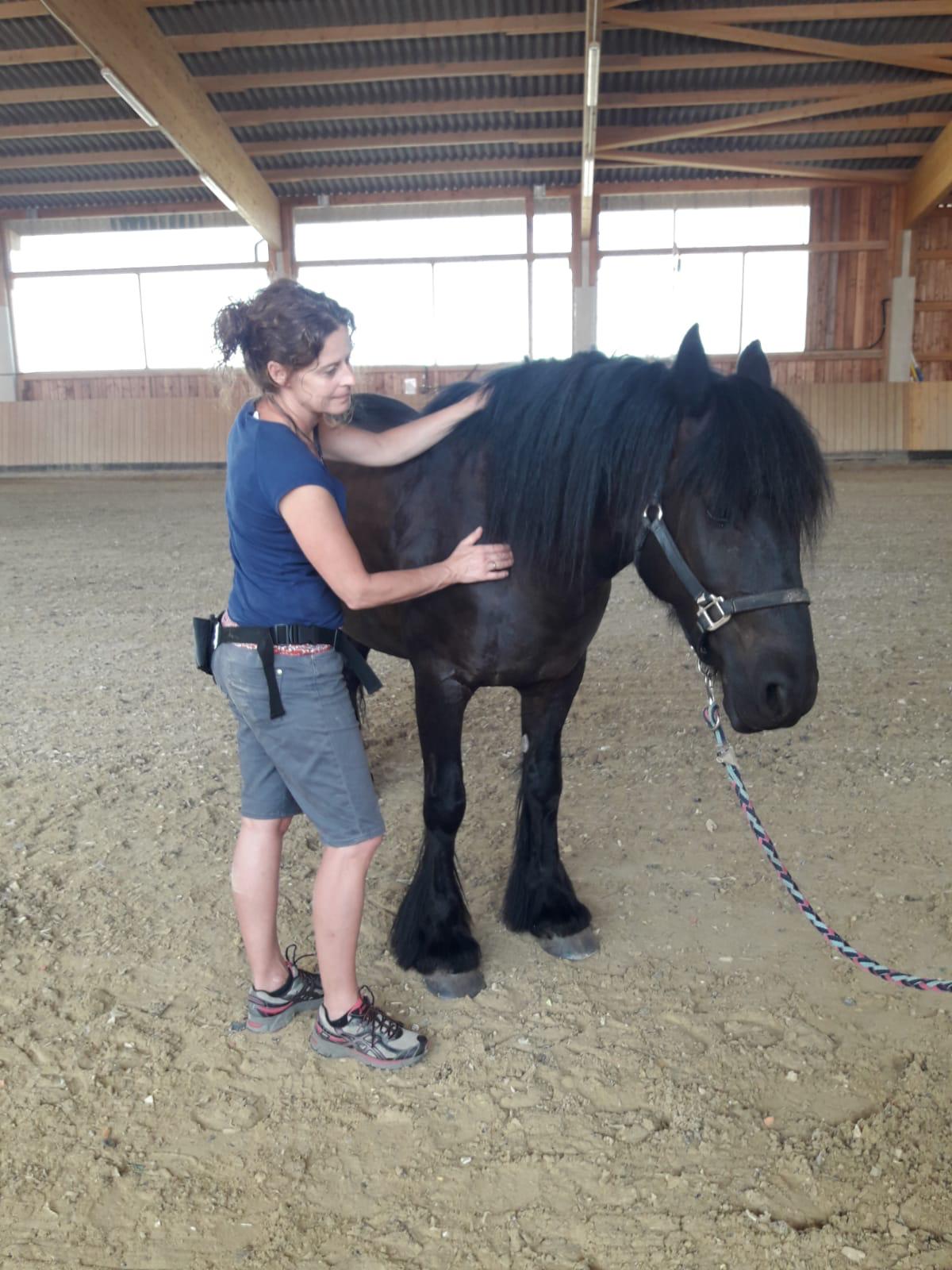 Tierheilpraxis & Sporttherapie für Tiere