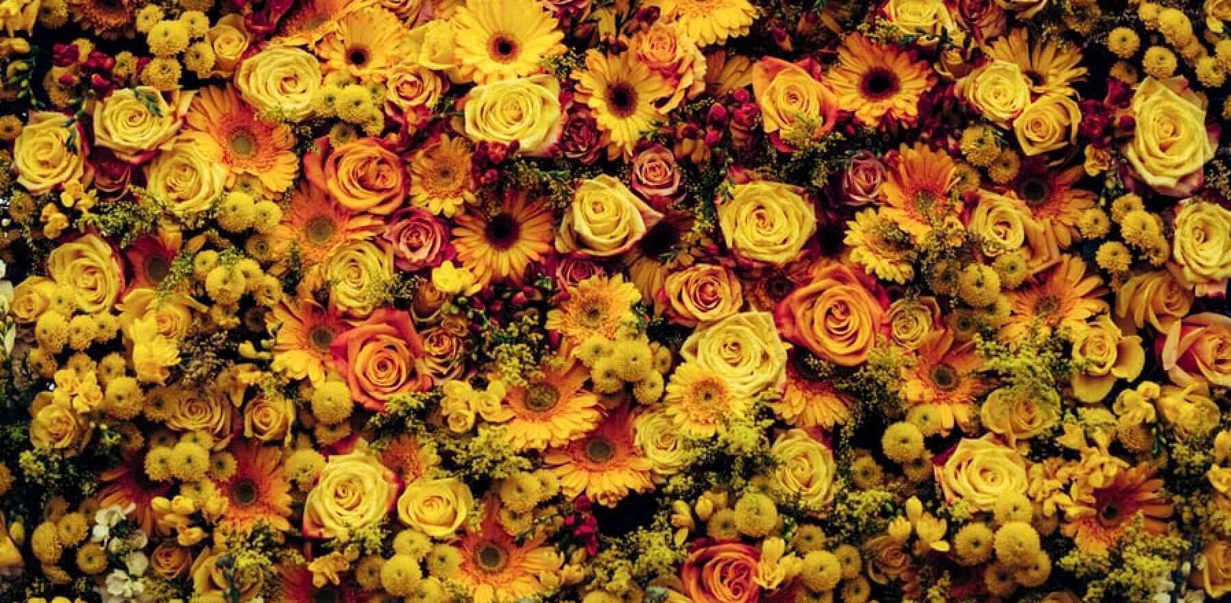 The most important Flowers Shows and Festivals in the world by Amour ...