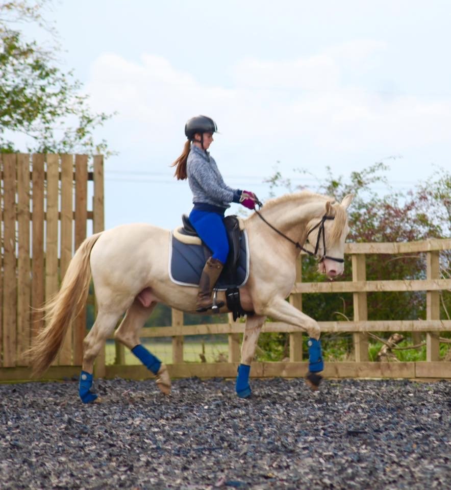 Barlosh Riding School