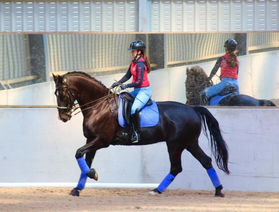 Barlosh Riding School