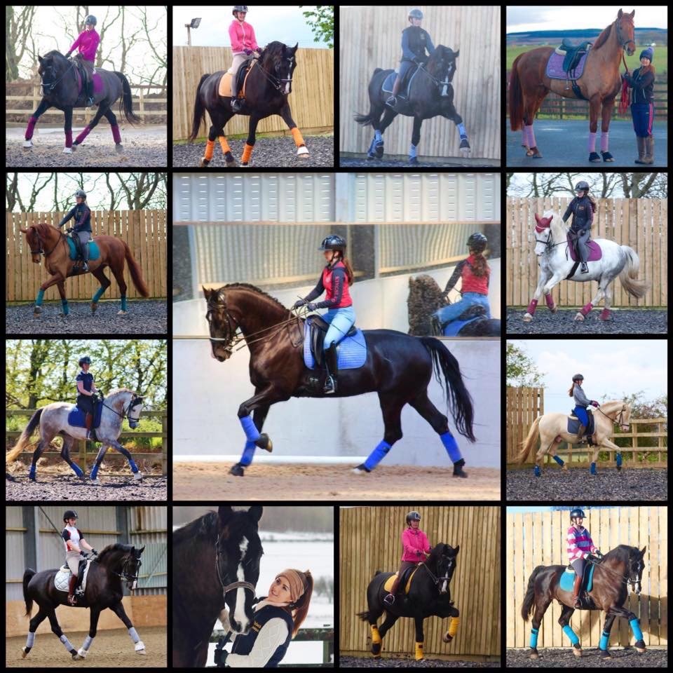 Barlosh Riding School