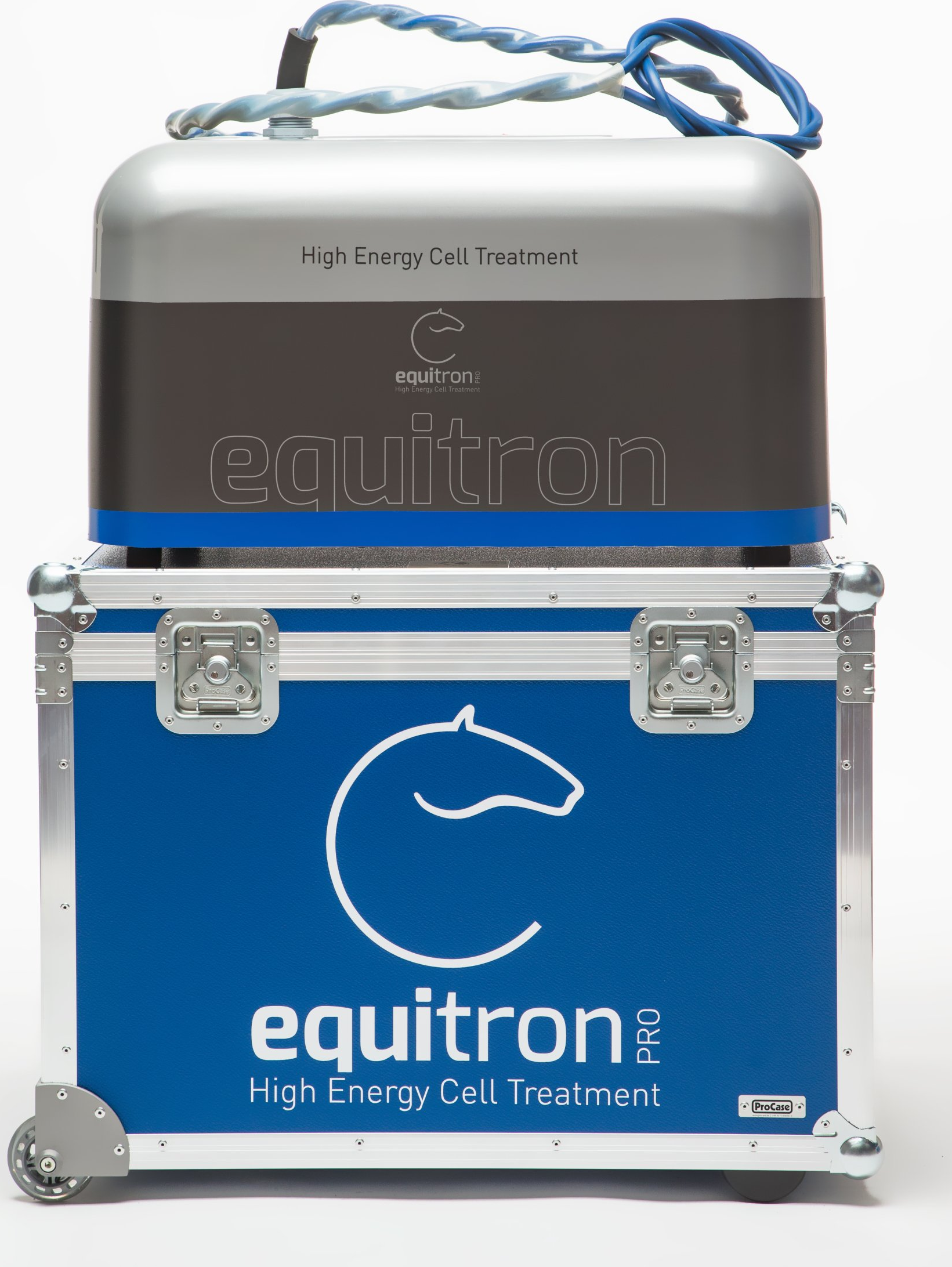 VitalCenter für Hund, Pferde oder auch Katzen