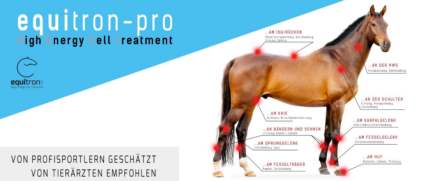 Wirkung Equitron Magnetwellen Therapie Hund Pferd Katze