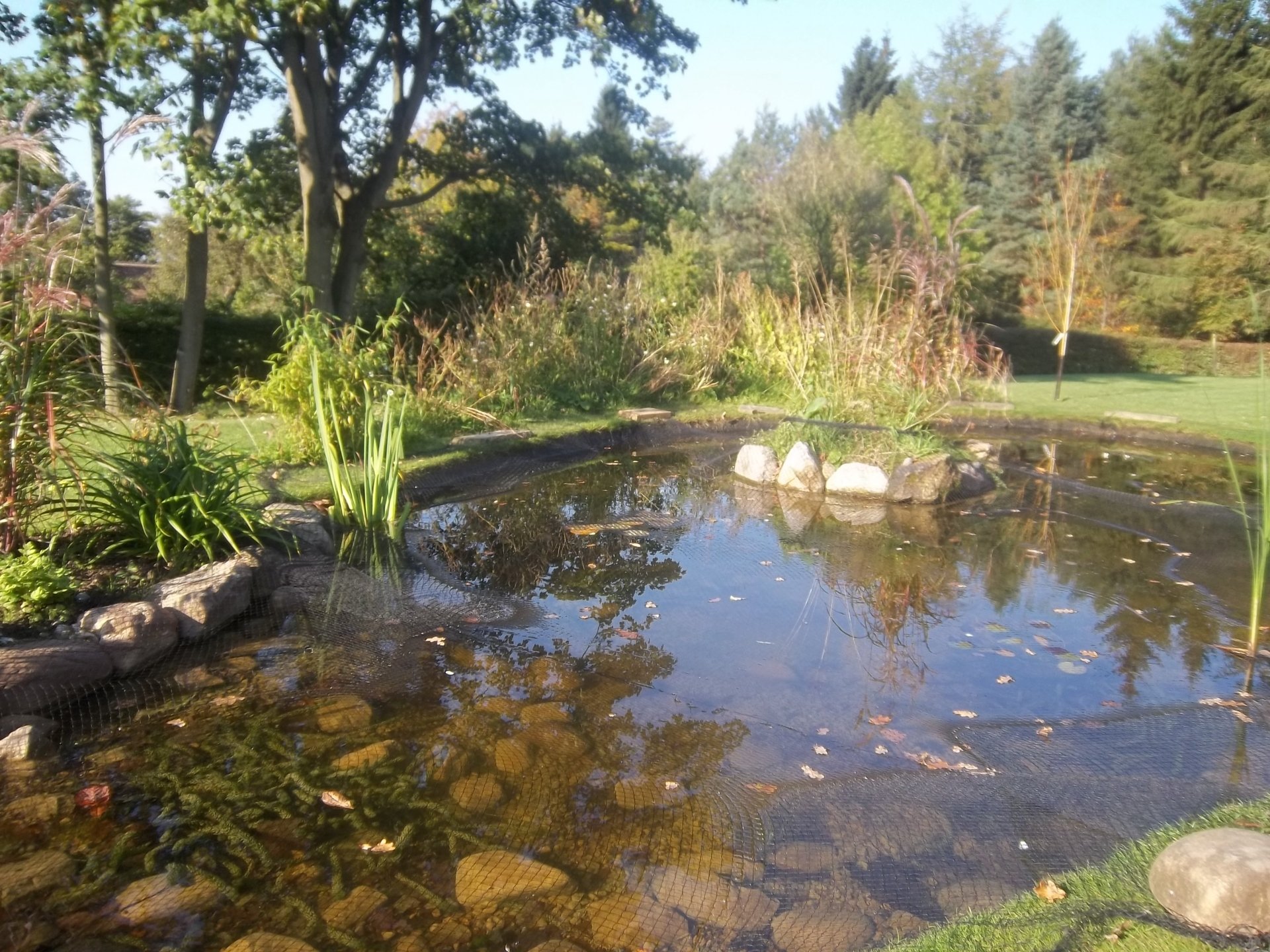 Ponds and Water Features around Ripon and Harrogate