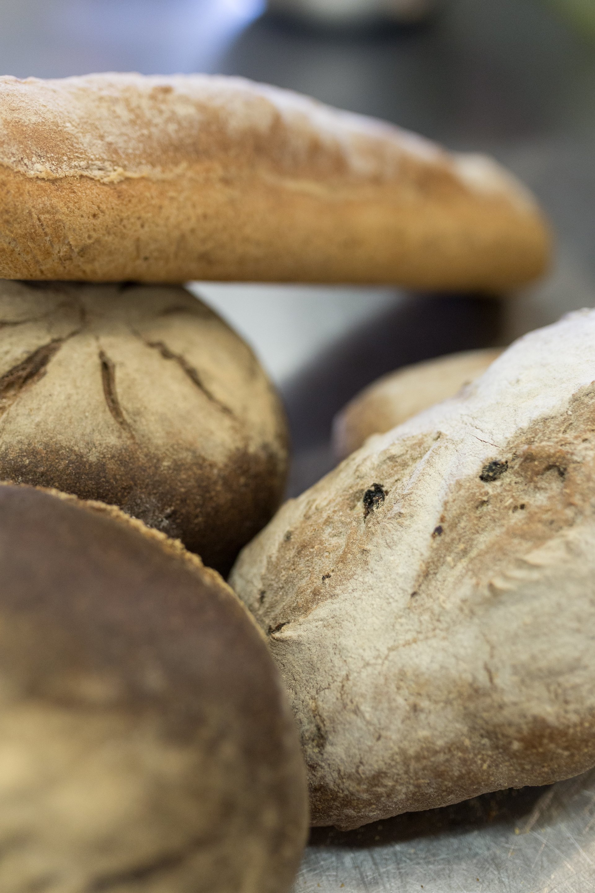 Sandi's Breads - Whole Grain Healthy Choice