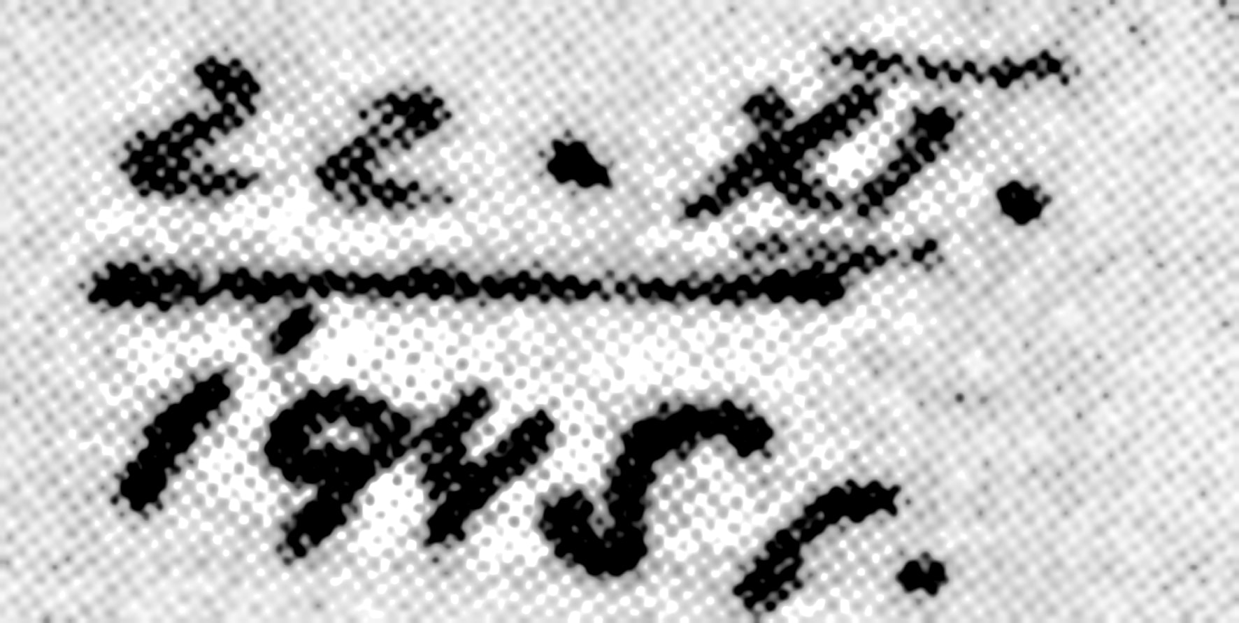 Une famille de militaires Serbes au cours du XXe siècle