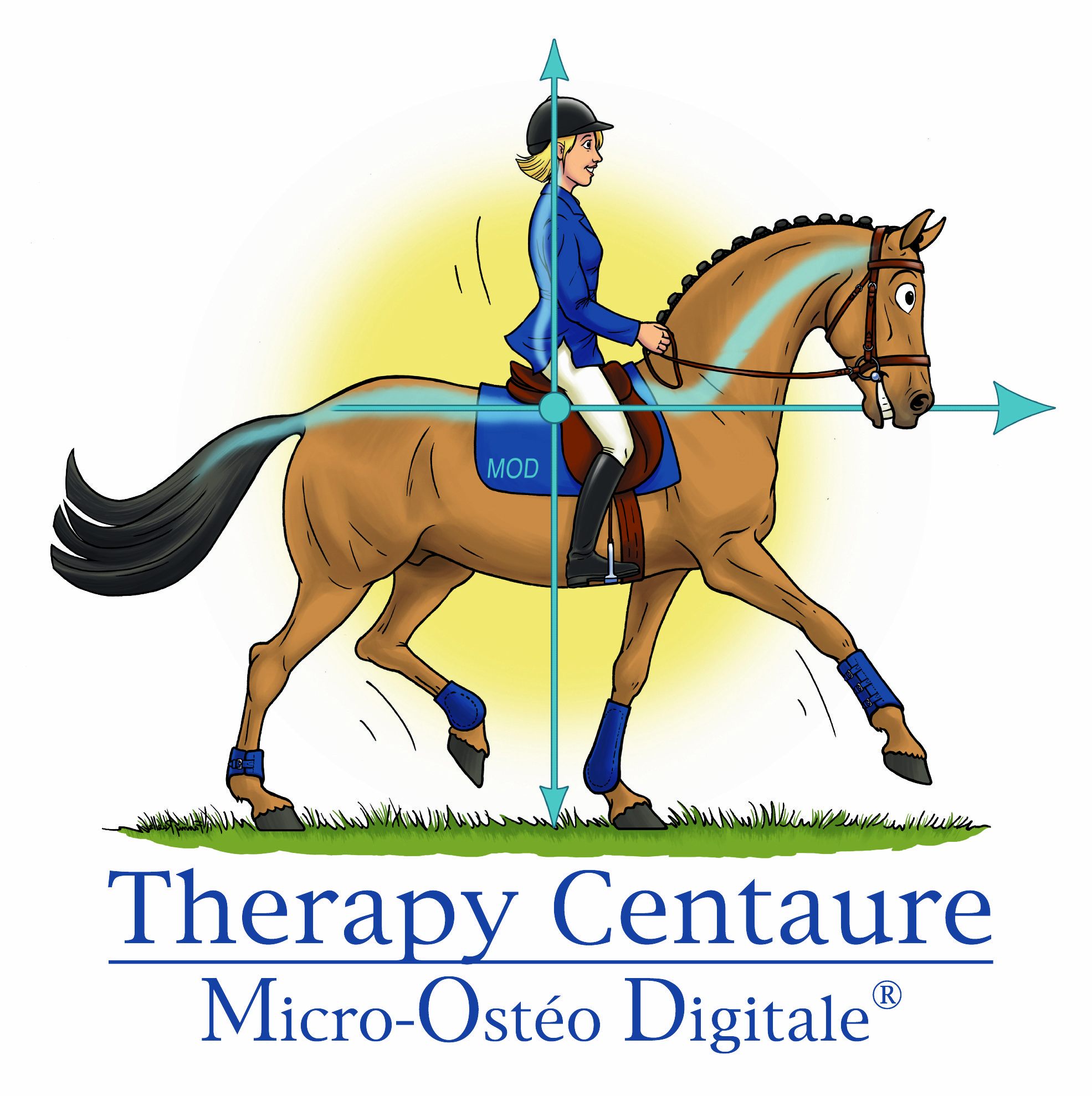 Accueil Micro Ostéo Digitale®