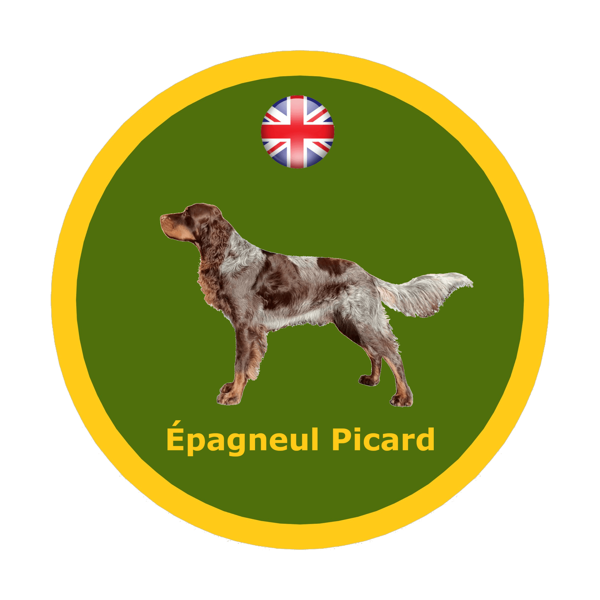 UK Picardy Spaniel Club