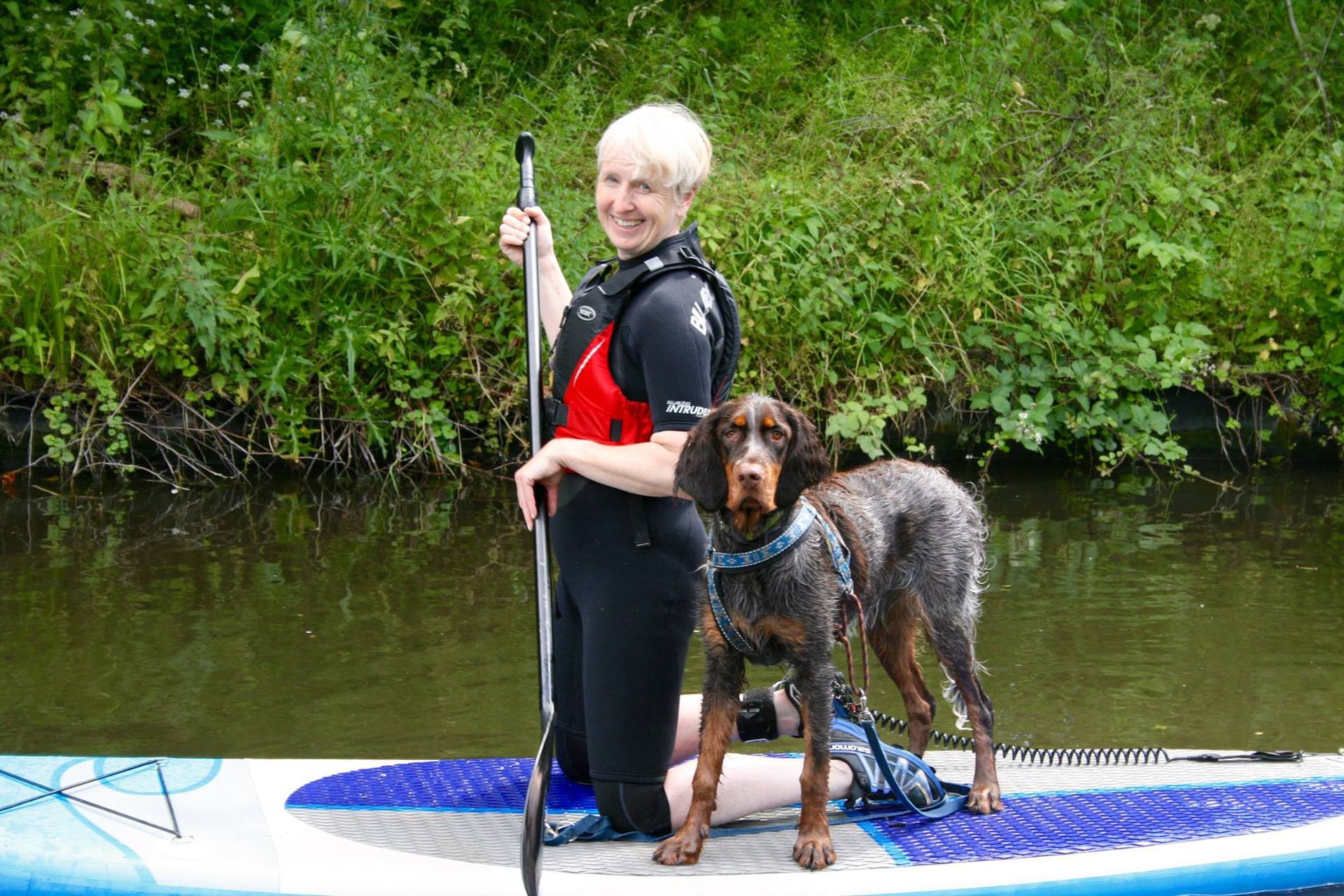 UK Picardy Spaniel Club