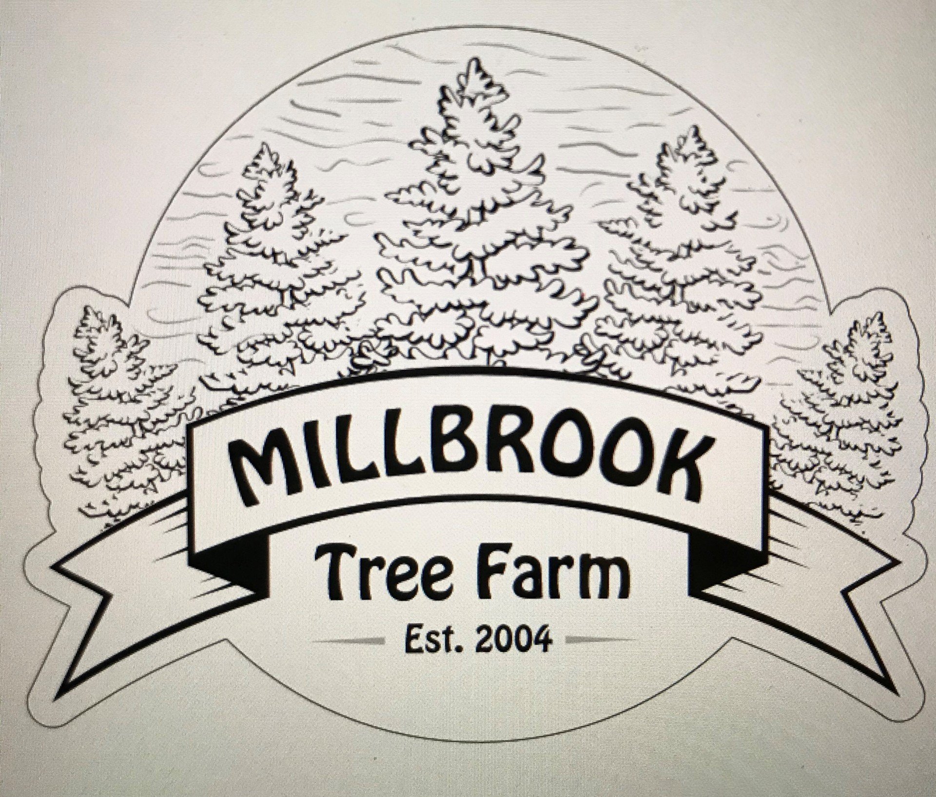 Home [www.millbrooktf.com]