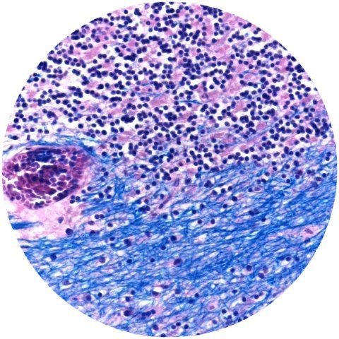 UK NEQAS CPT – Cellular Pathology EQA Services & Information