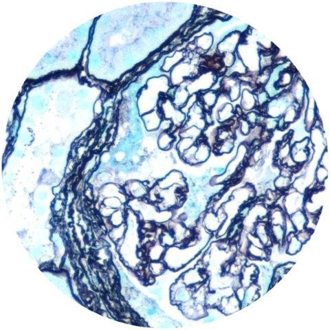 UK NEQAS CPT – Cellular Pathology EQA Services & Information