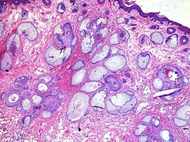 UK NEQAS CPT – Cellular Pathology EQA Services & Information