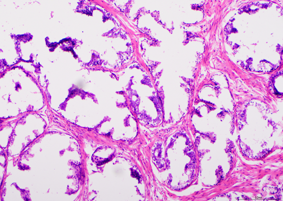 UK NEQAS CPT – Cellular Pathology EQA Services & Information