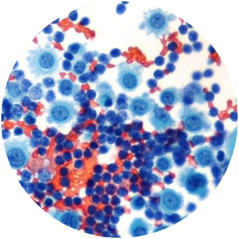 UK NEQAS CPT – Cellular Pathology EQA Services & Information