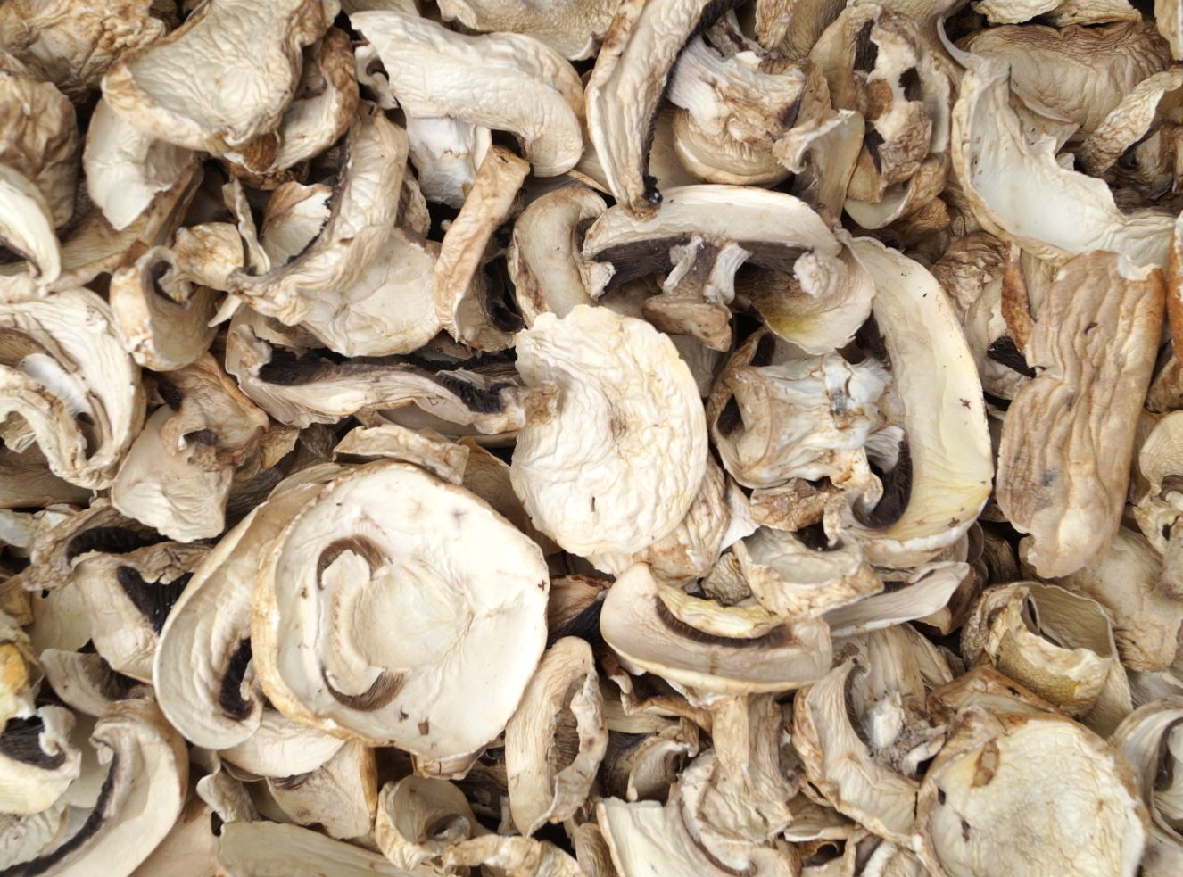 Trockenpilze