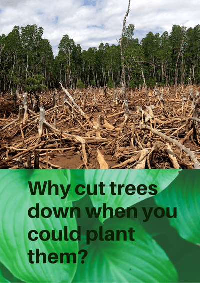 How to help [deforistashon]