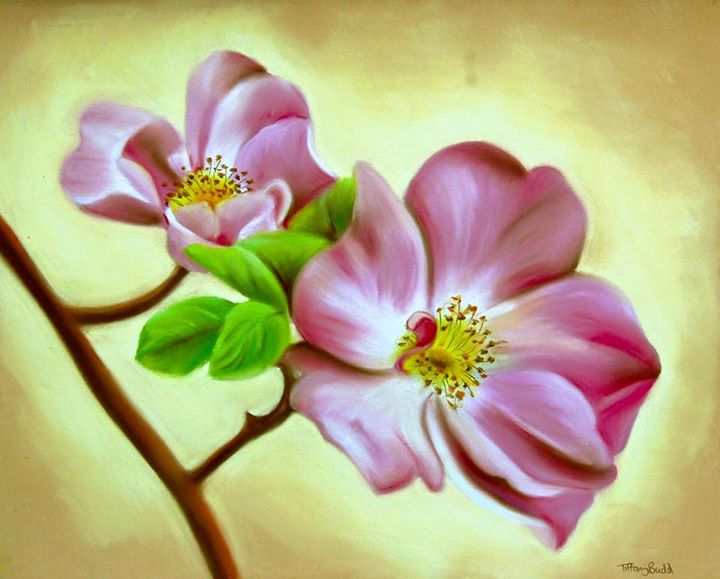 Tiffany Budd | Fine Art | Fractured | Floral | Commissions