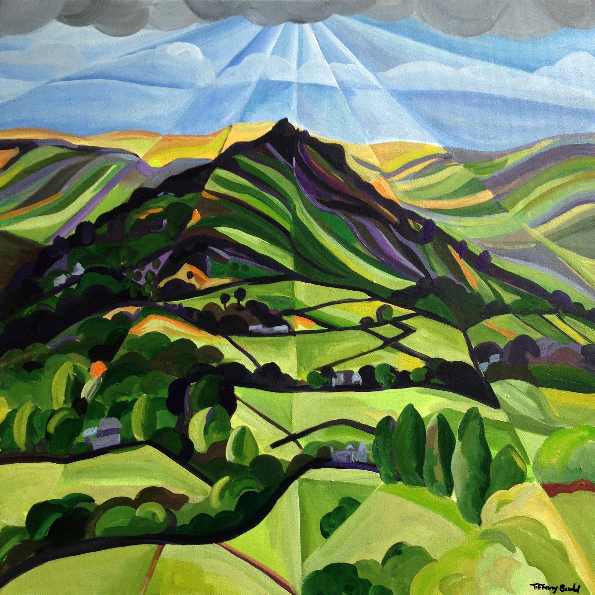 Tiffany Budd | Fine Art | Fractured | Floral | Commissions