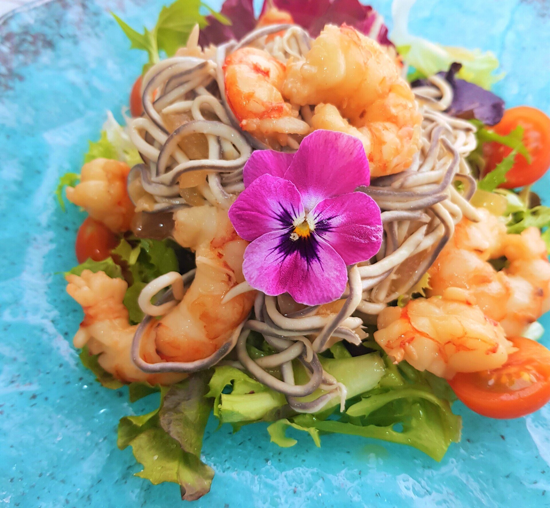 RESTAURANTE MAGICO CAMPICO