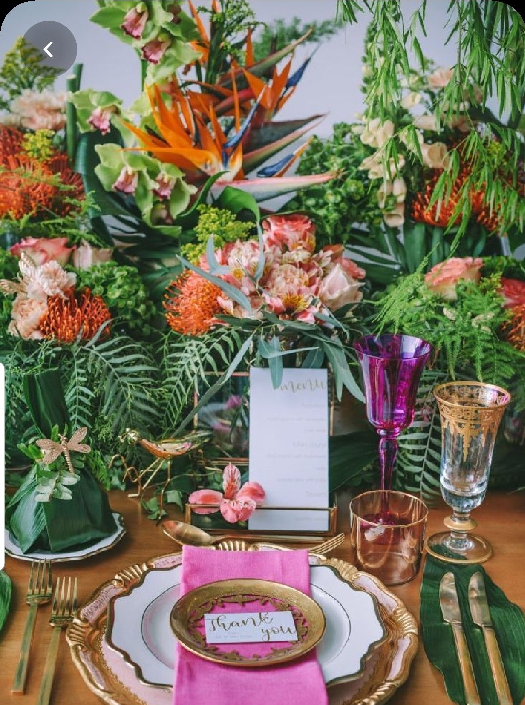 CONTACTO RESTAURANTE MAGICO CAMPICO