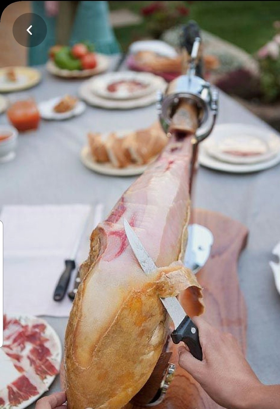 RESTAURANTE MAGICO CAMPICO