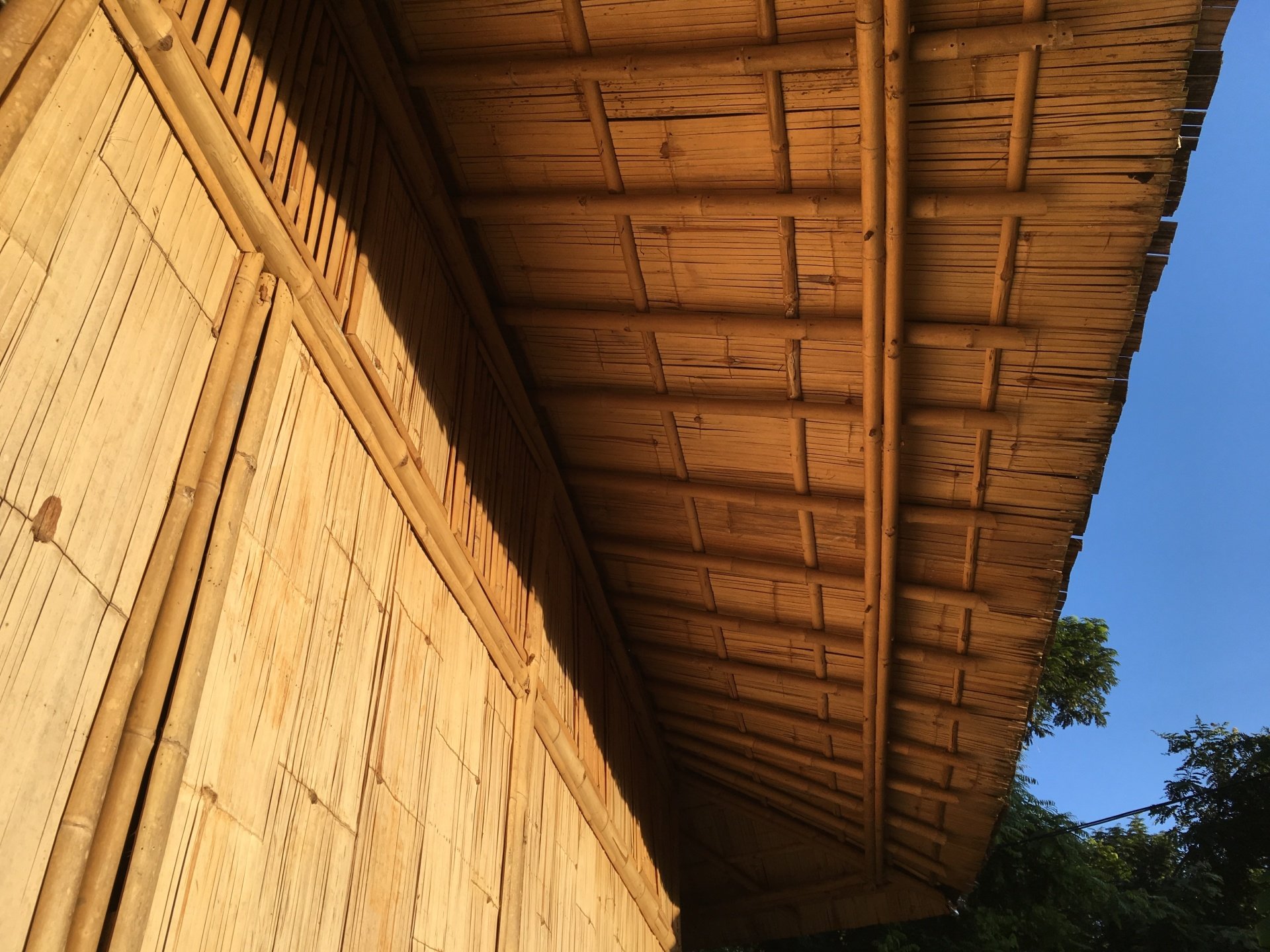 Solignum Insect Kill