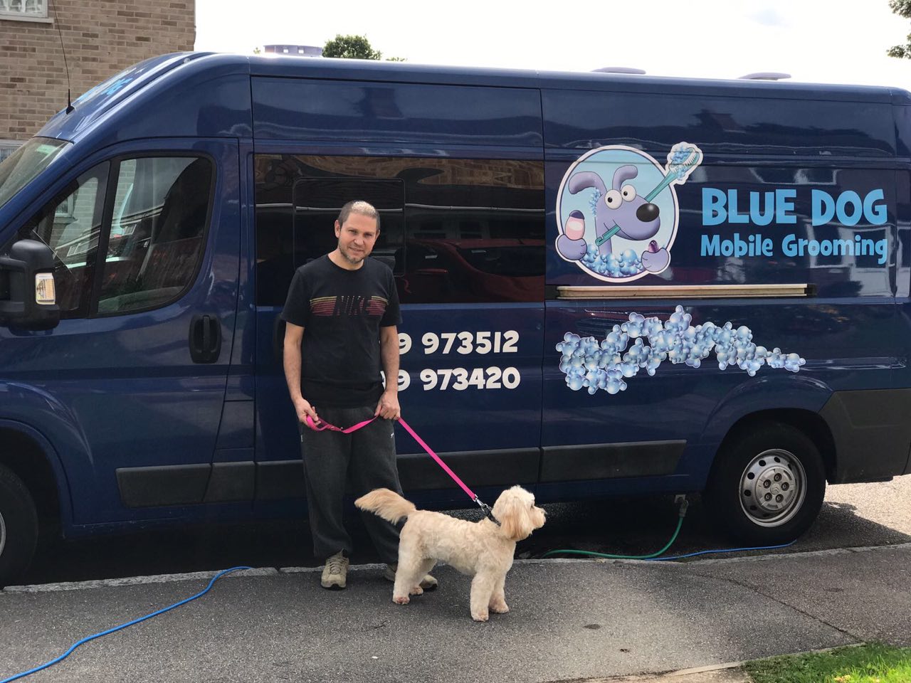 Blue Dog Mobile Grooming