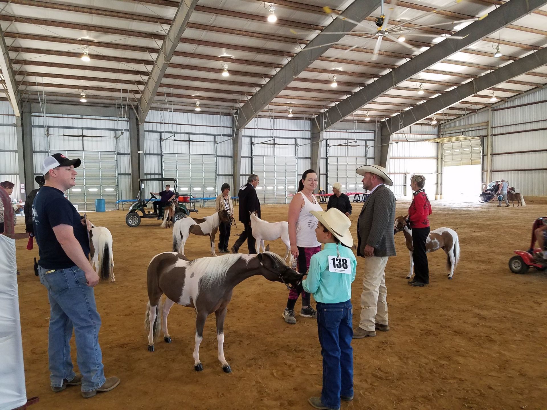 Bluegrass Miniature Horse Shows