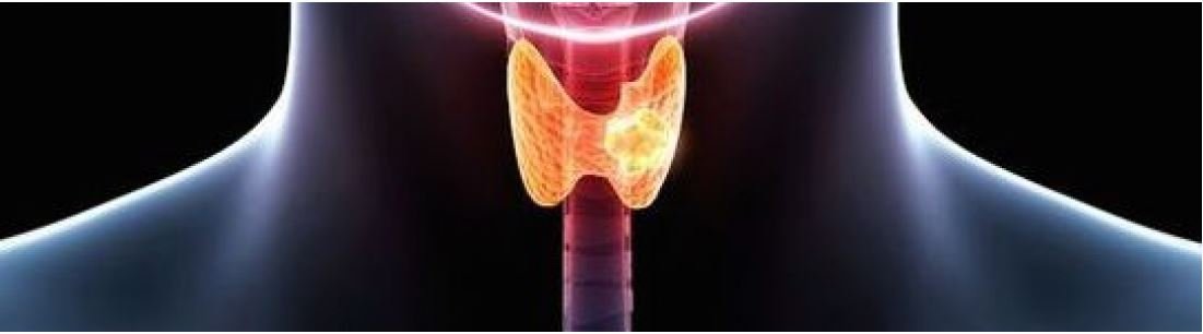 Tiroides y Acupuntura