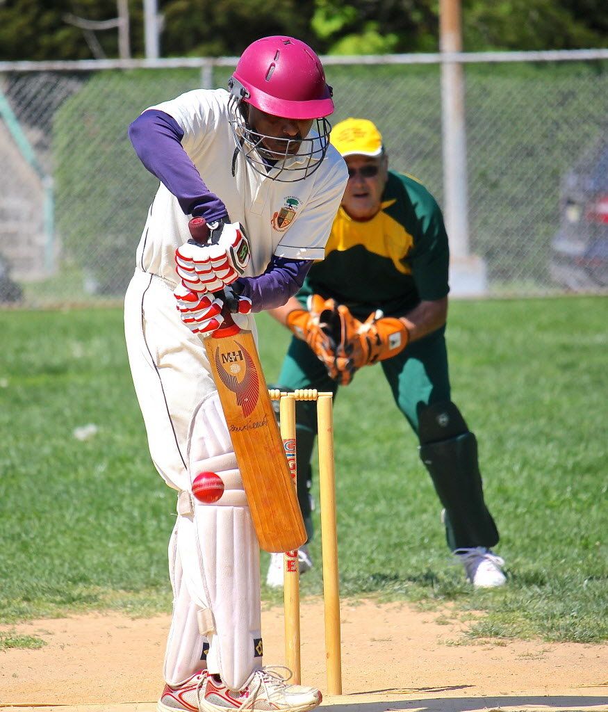 cricket in new york new york, cricket in staten island new york ...