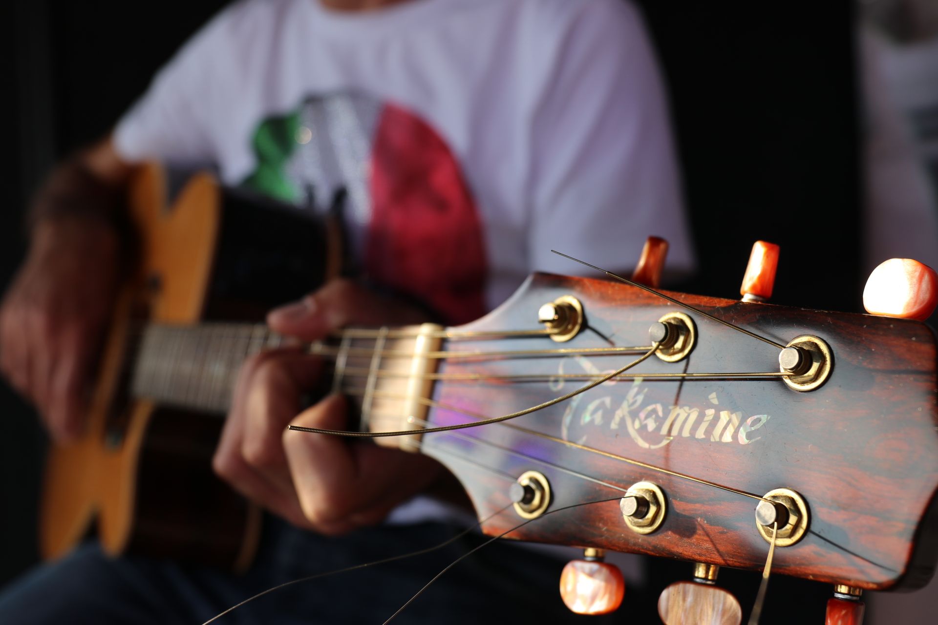 Richard K. Live Musik vom Profi! Gitarre Mundharmonika und Gesang. Live ...