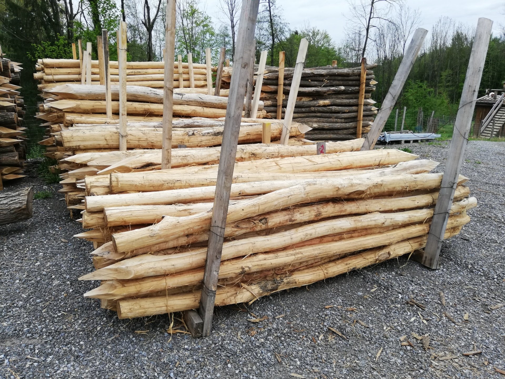 Robinienholz Steiermark