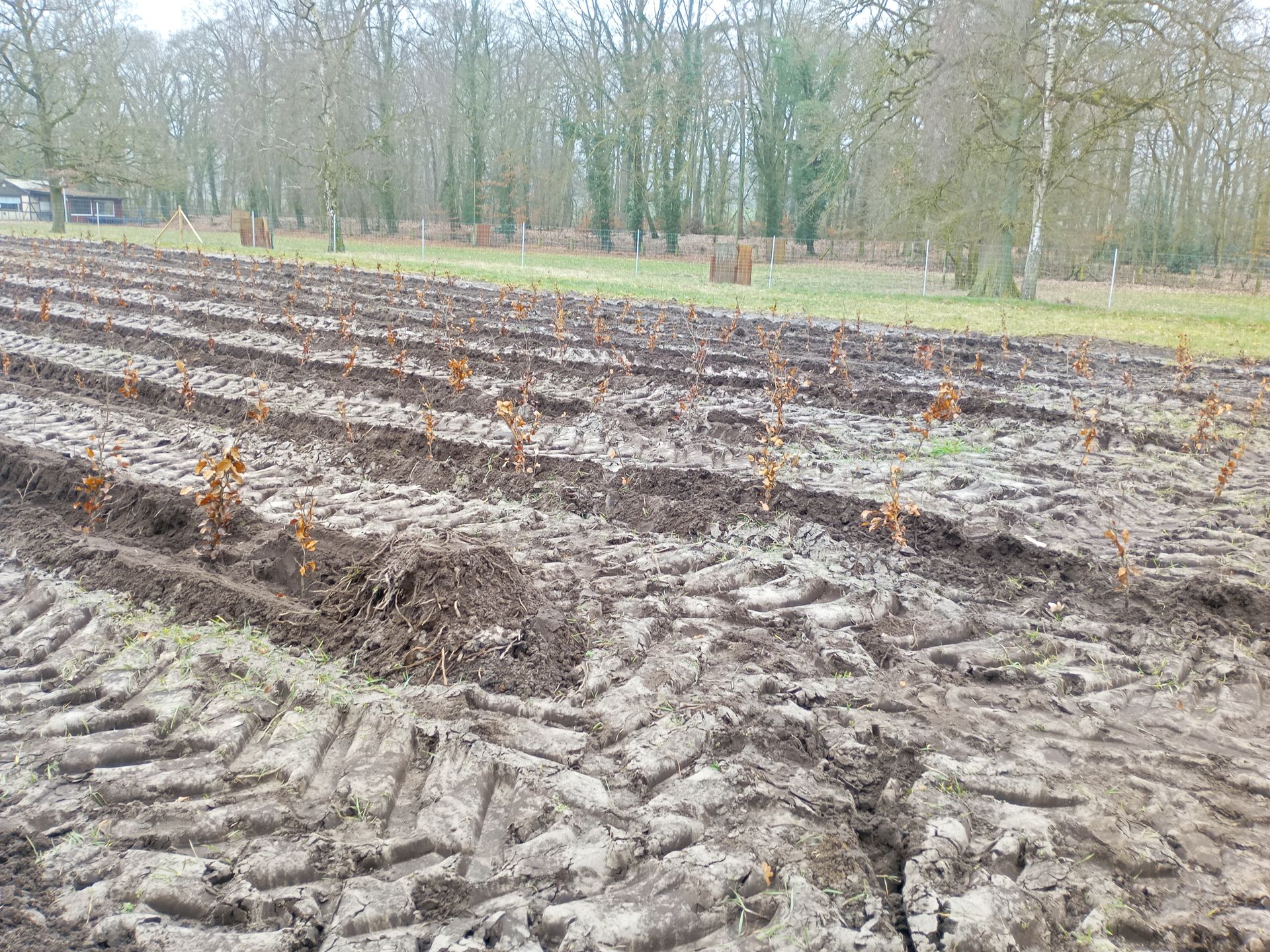 unabhängiges Ing.-Büro