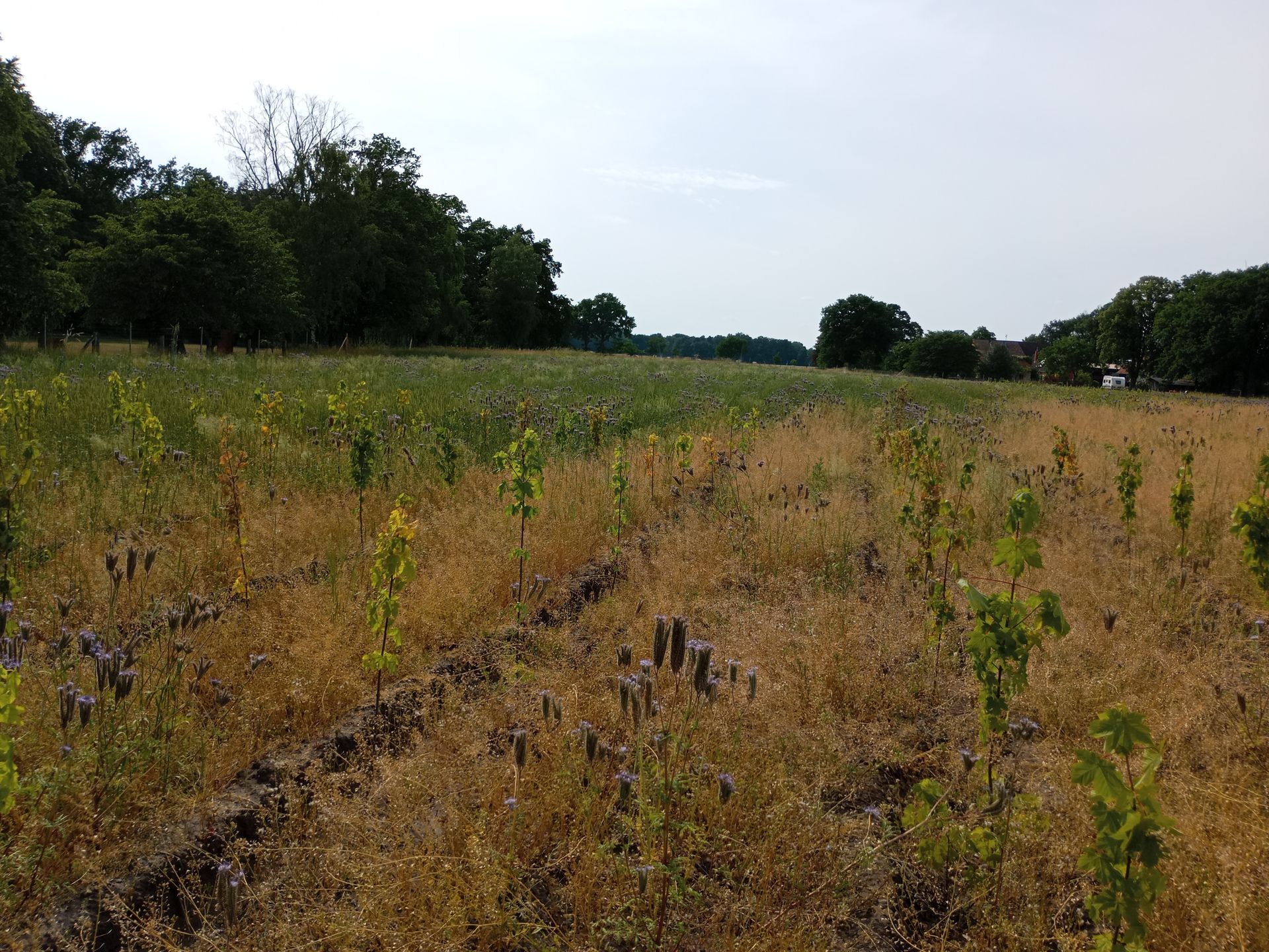 unabhängiges Ing.-Büro