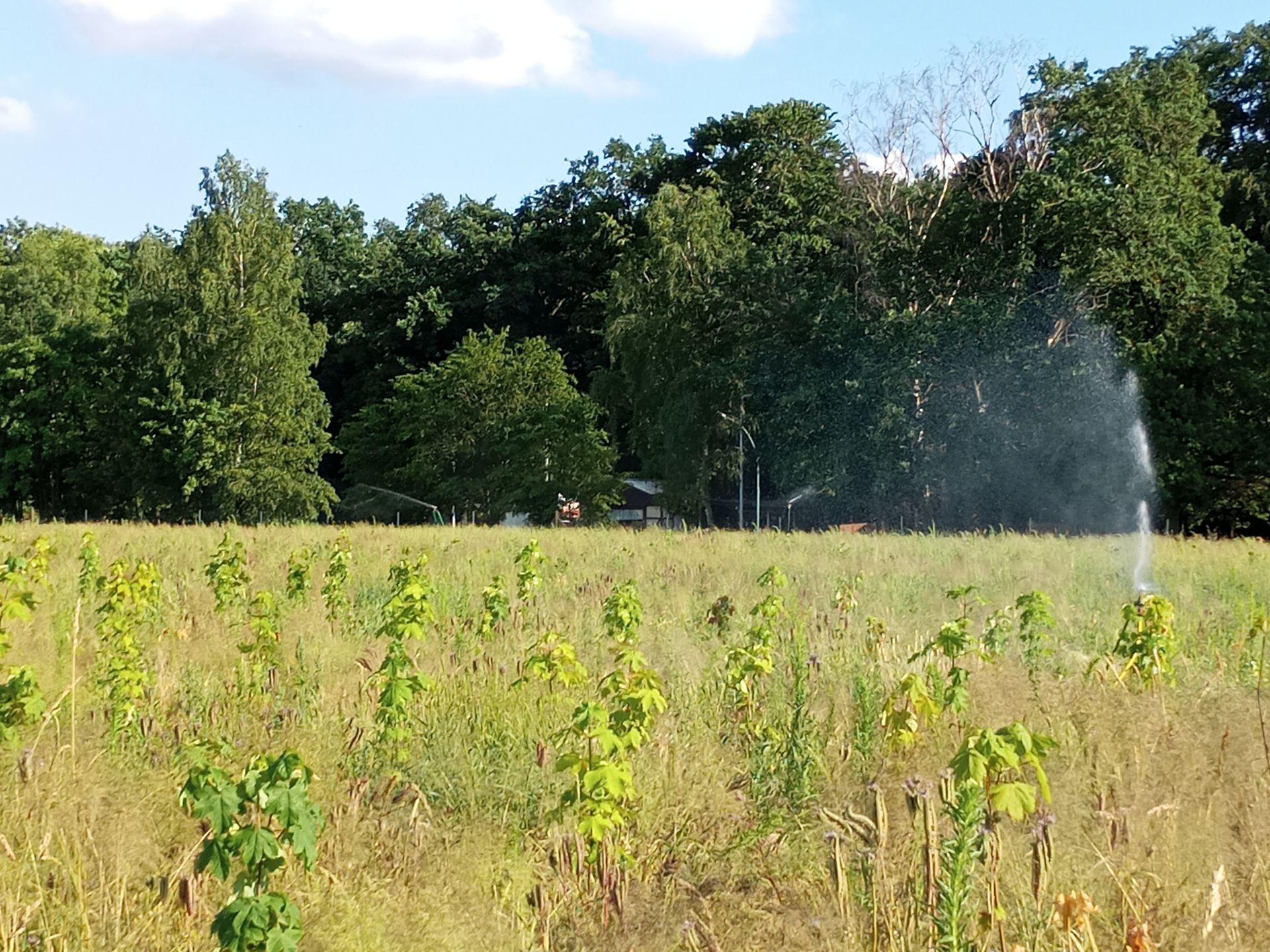 unabhängiges Ing.-Büro