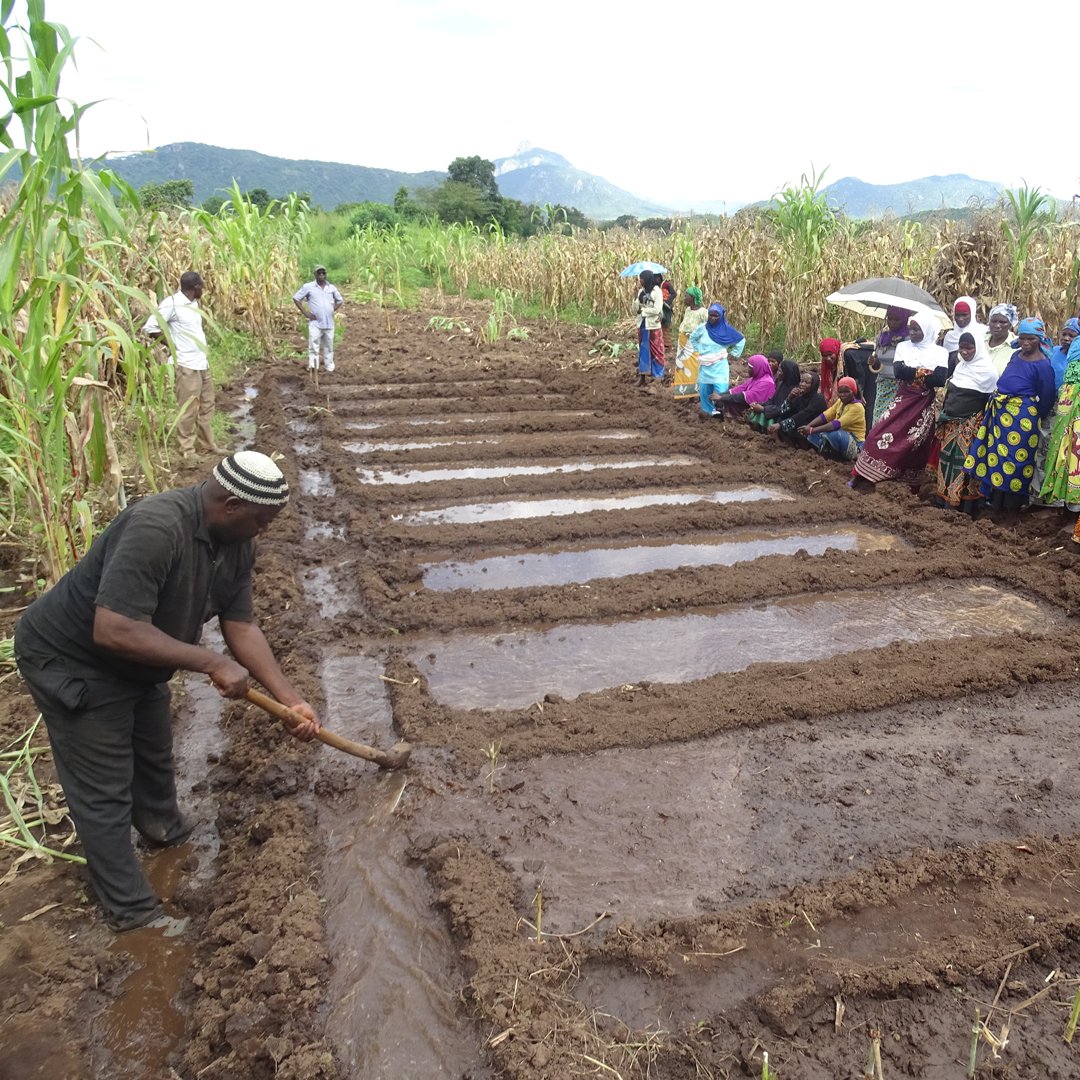Malawi Water Irrigation | Peace & Relief International