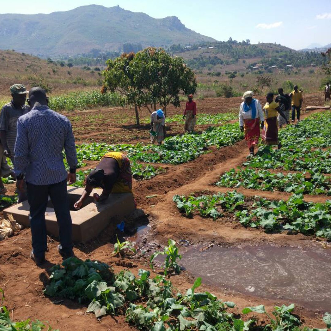 Malawi Water Irrigation | Peace & Relief International