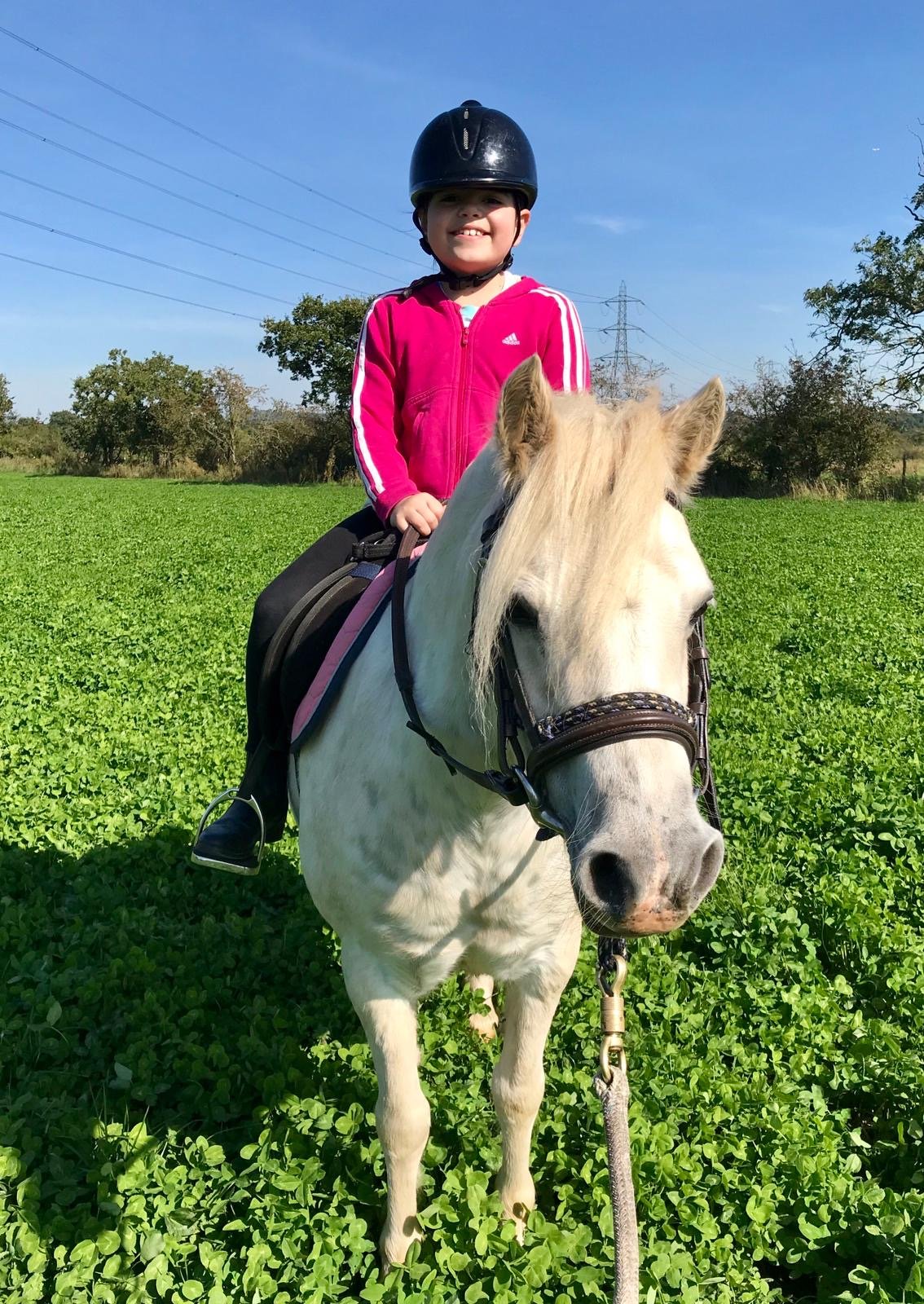 Freedom Equine Centre