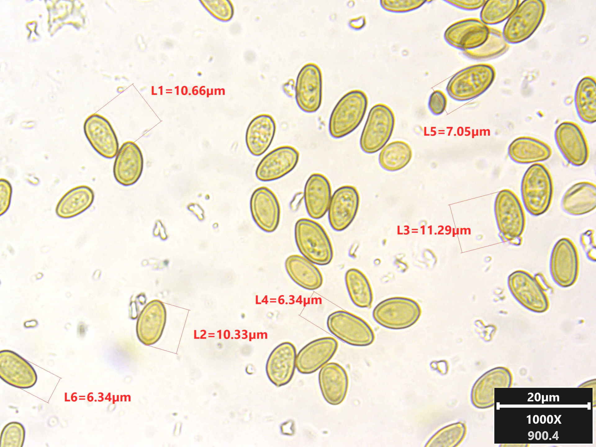 Diagnostiqueurs immobiliers, Architectes, Maîtres d'oeuvre, Experts ...