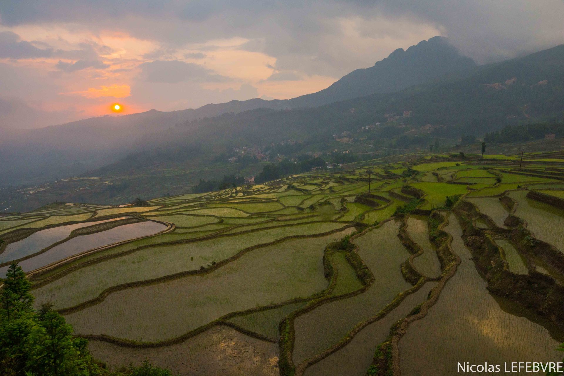 Photographie de paysages et animalière
