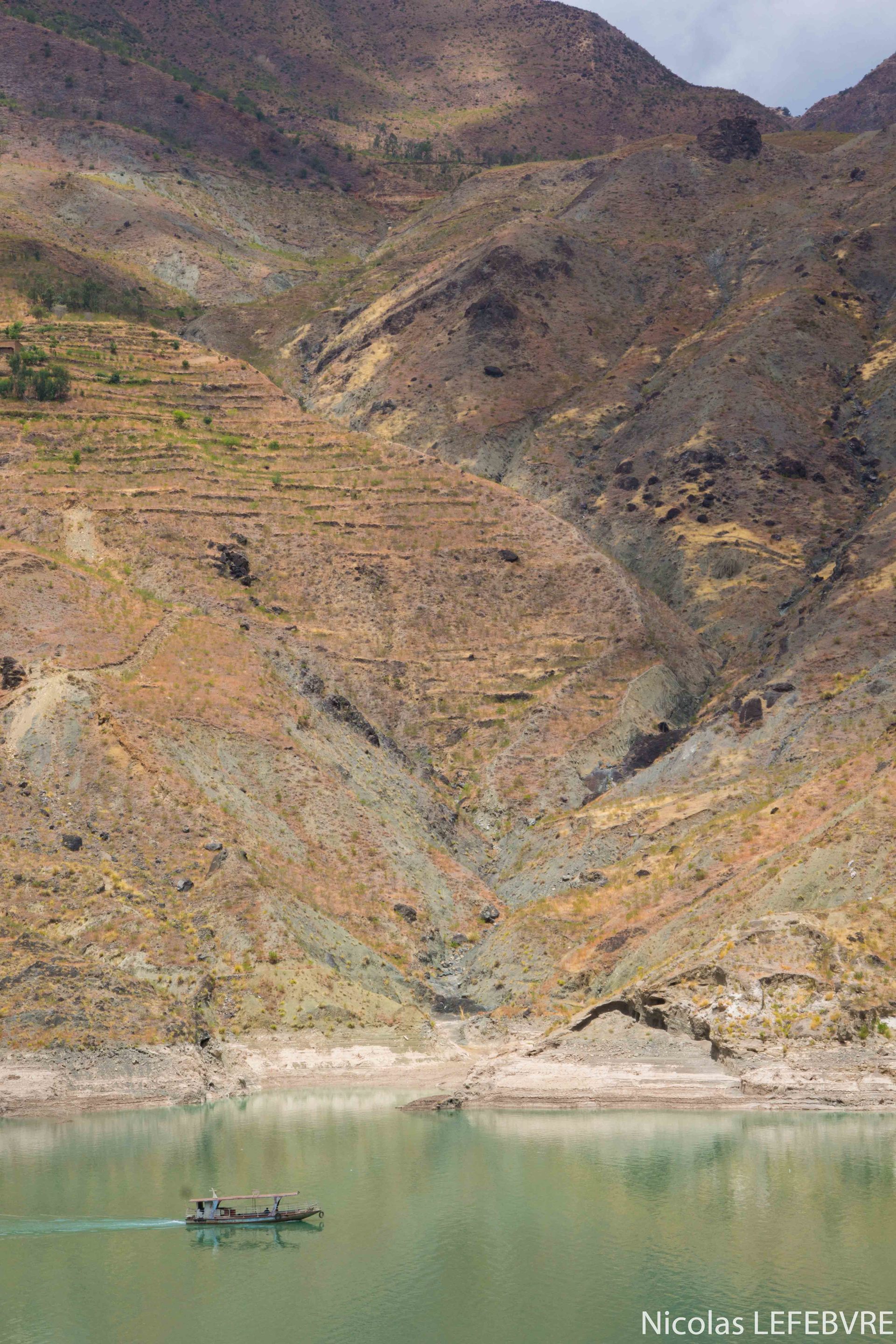 Photographie de paysages et animalière
