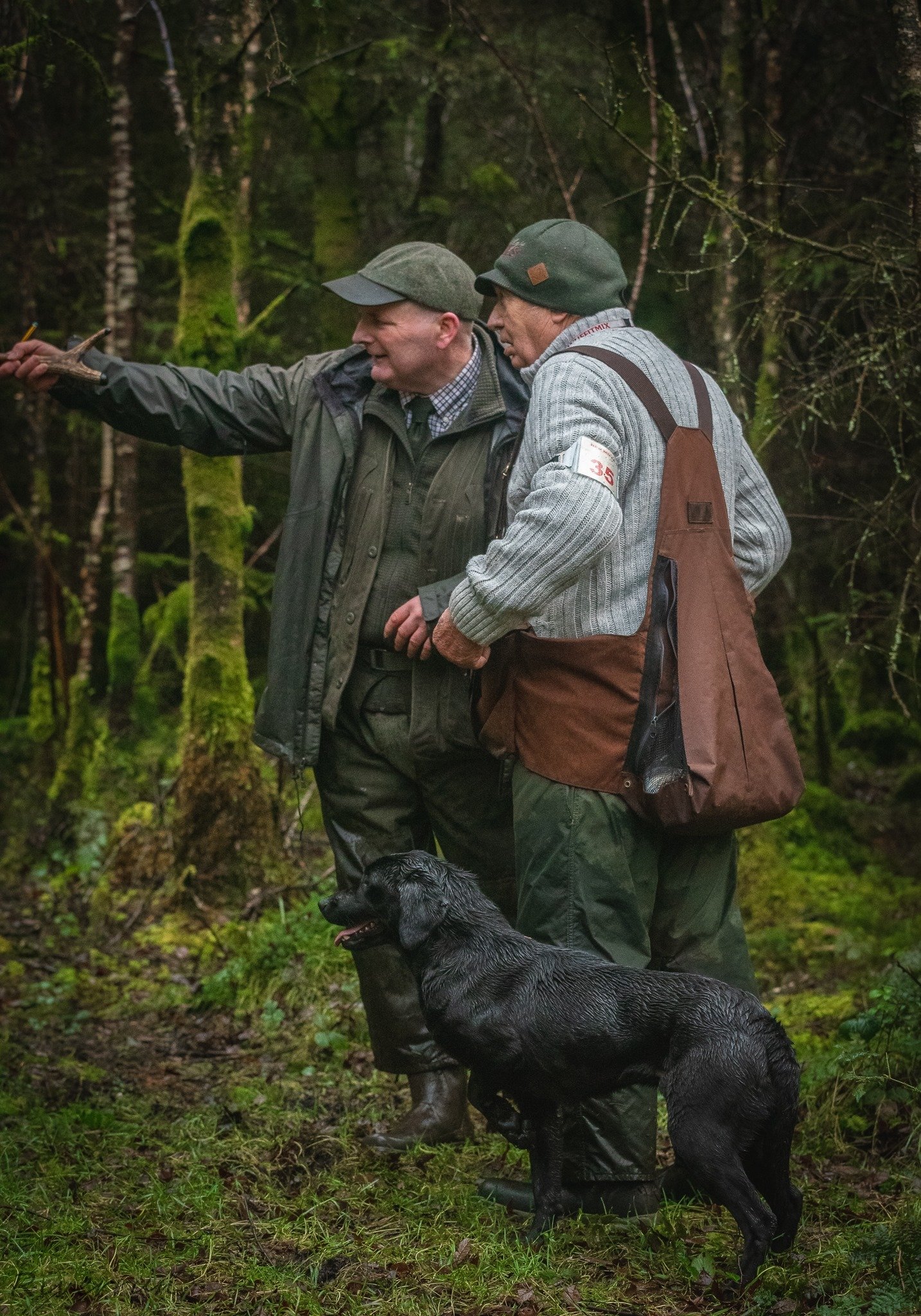 Waterstone Labradors Photo Gallery