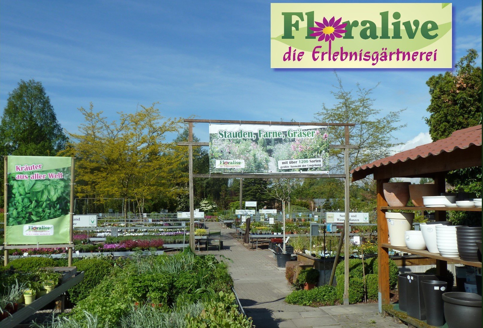 Zufuhr-Service FLORALIVE