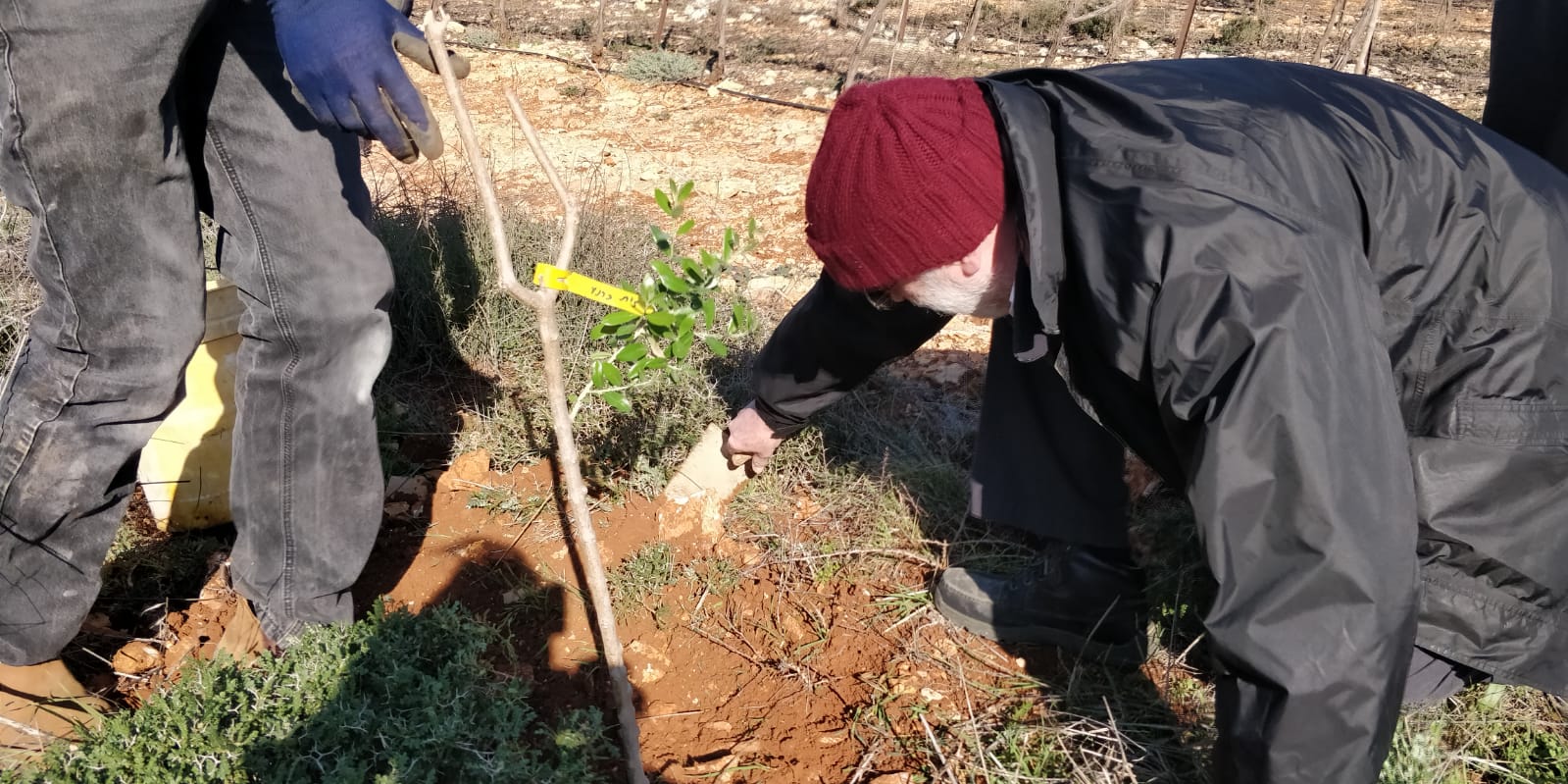 NEWS - Keep Shmitta Everywhere in the World - Share in the Mitzvah and ...