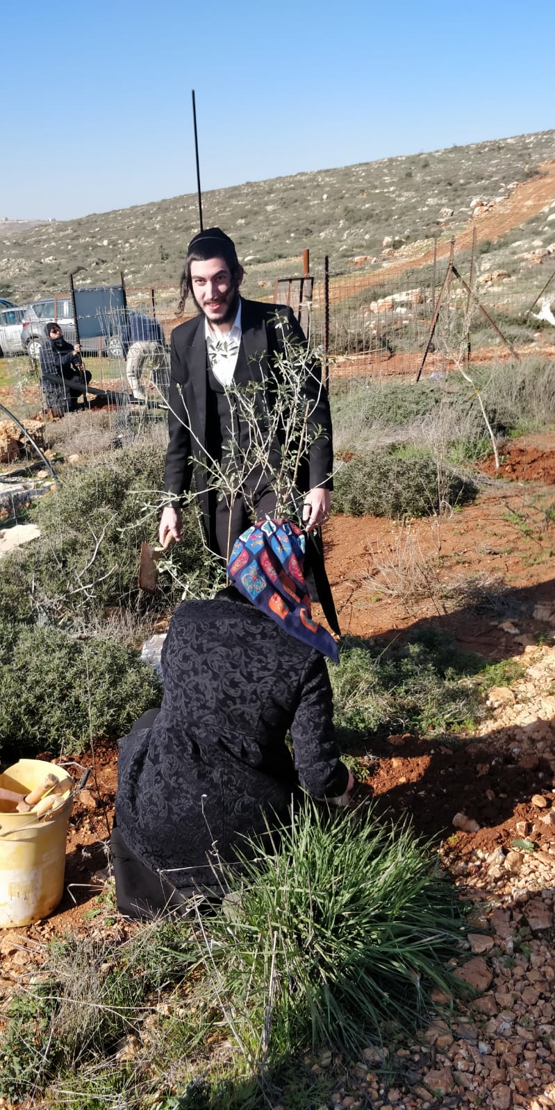 NEWS - Keep Shmitta Everywhere in the World - Share in the Mitzvah and ...