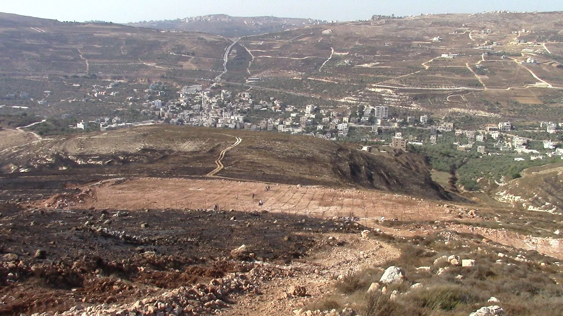 The Yitzhar Vineyard - CALL TO ACTION! - Protect Jews Fulfill Shmitta